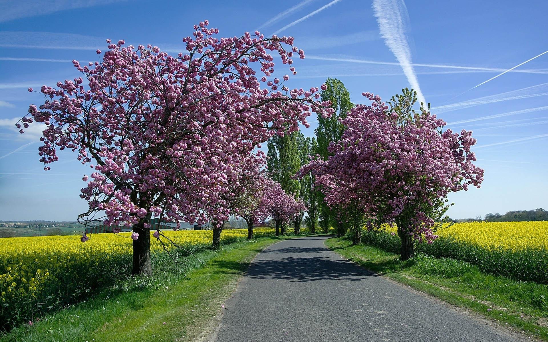 Spring Street Wallpapers - Top Free Spring Street Backgrounds ...