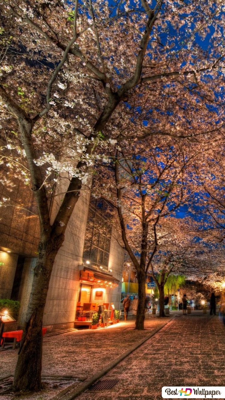 Spring Street Wallpapers - Top Free Spring Street Backgrounds ...