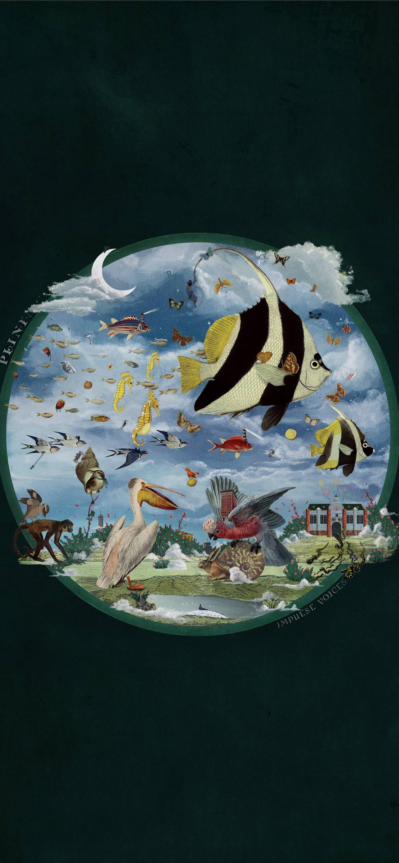 Progressive Rock Wallpapers - Top Free Progressive Rock Backgrounds ...