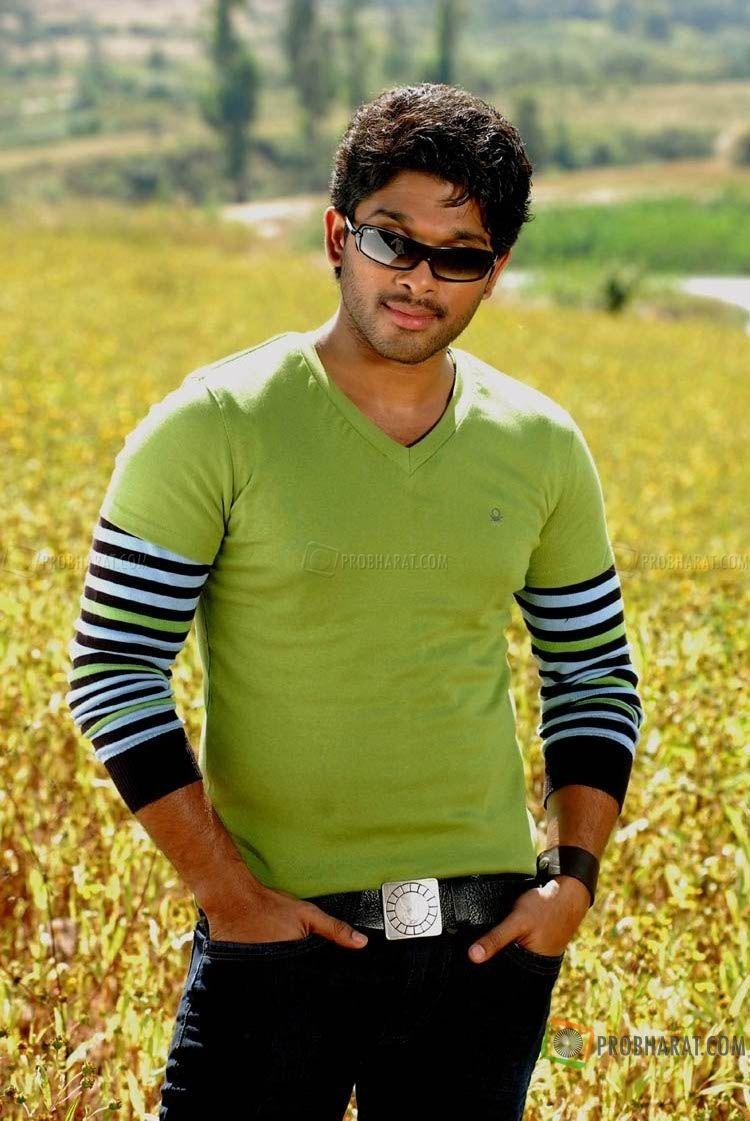 Parugu Wallpapers - Top Free Parugu Backgrounds - WallpaperAccess