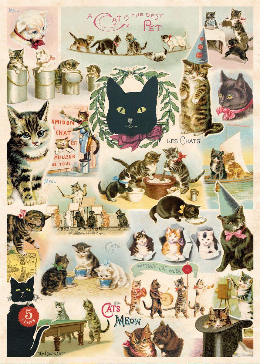 Cat Collage Wallpapers - Top Free Cat Collage Backgrounds - WallpaperAccess