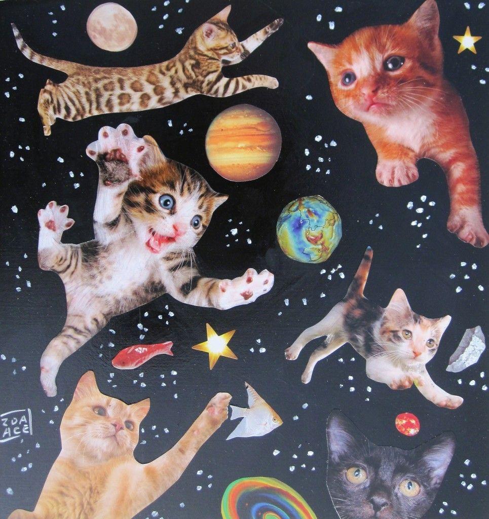 Cat Collage Wallpapers - Top Free Cat Collage Backgrounds - WallpaperAccess