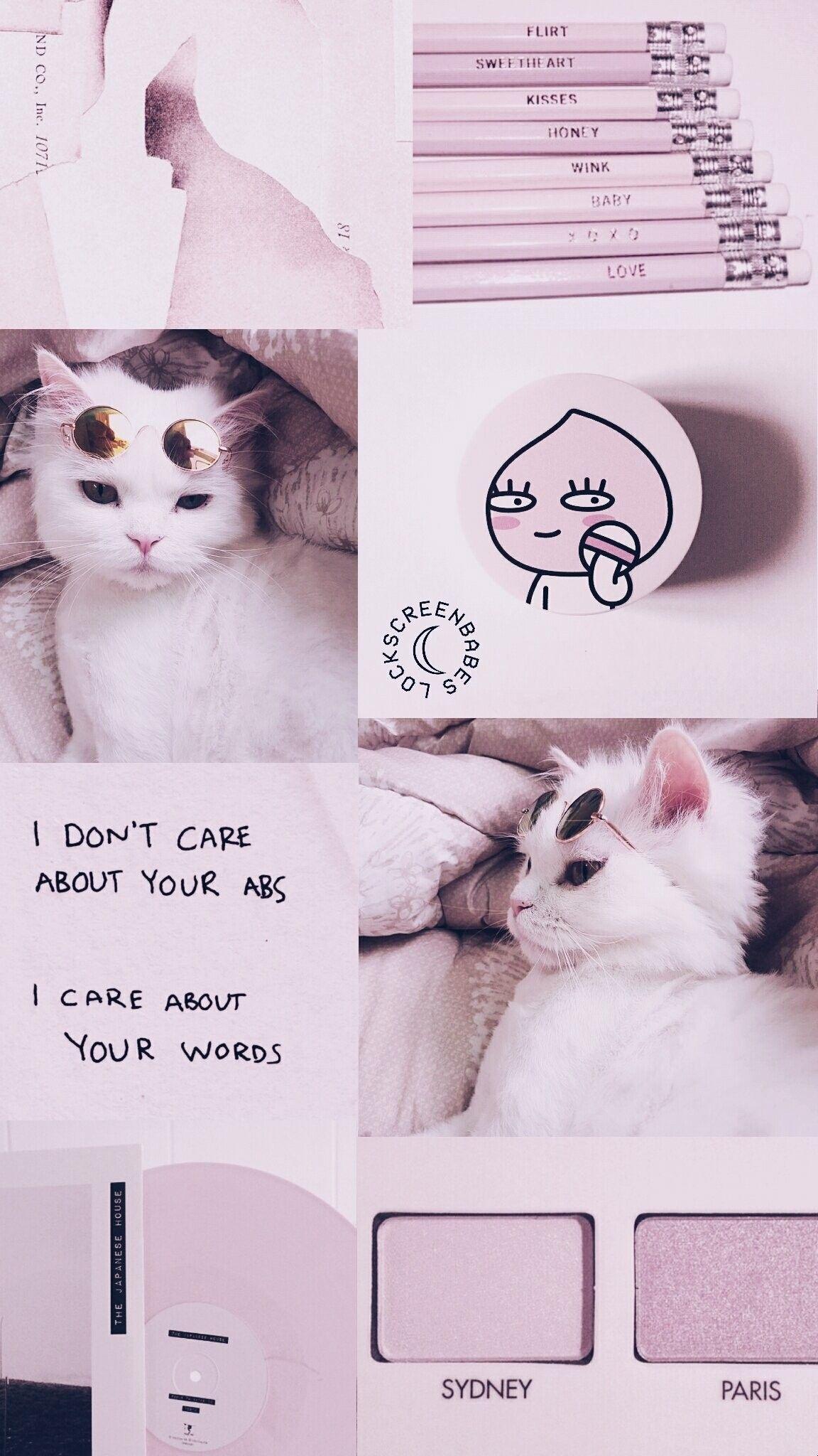 Cat Collage Wallpapers - Top Free Cat Collage Backgrounds - WallpaperAccess