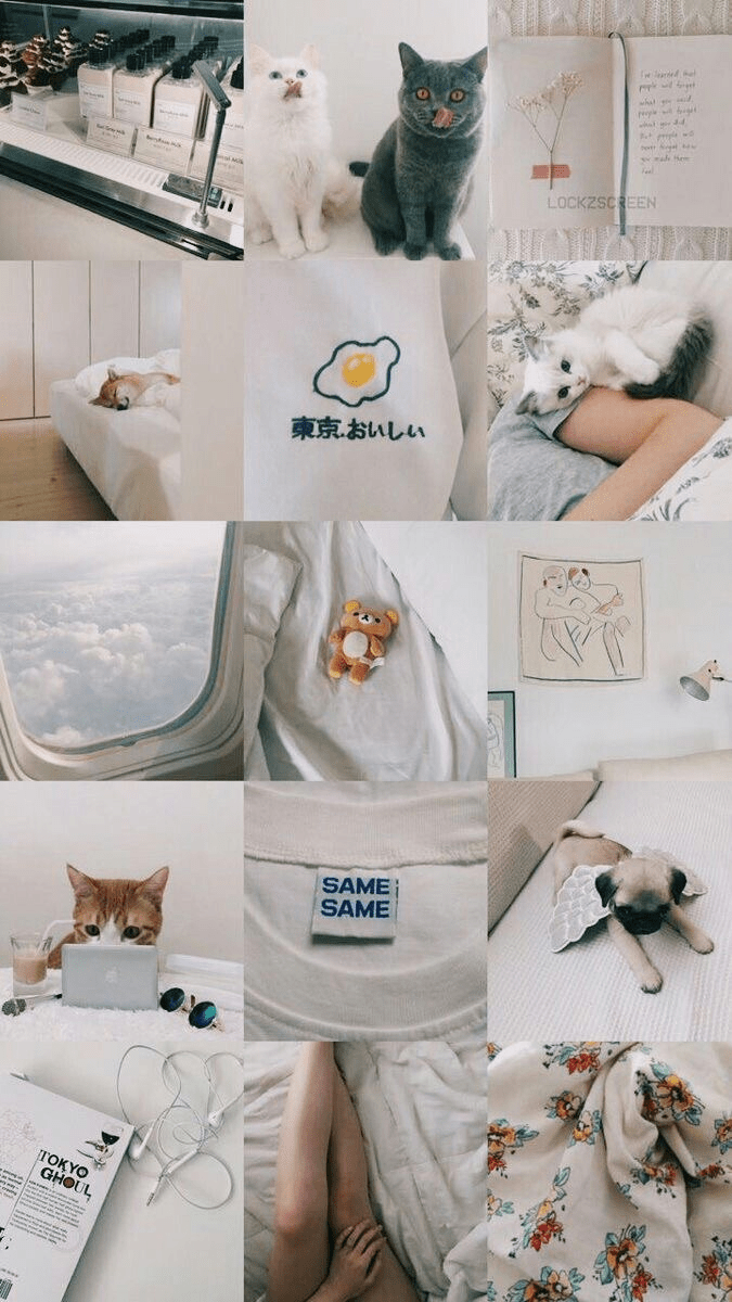 Cat Collage Wallpapers - Top Free Cat Collage Backgrounds - WallpaperAccess