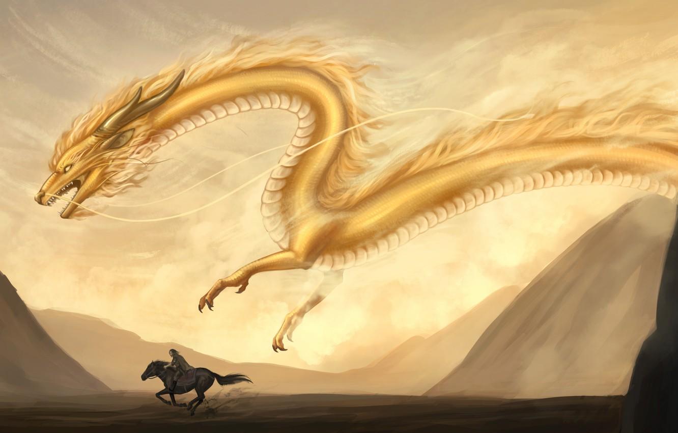 Horse and Dragon Wallpapers - Top Free Horse and Dragon Backgrounds ...