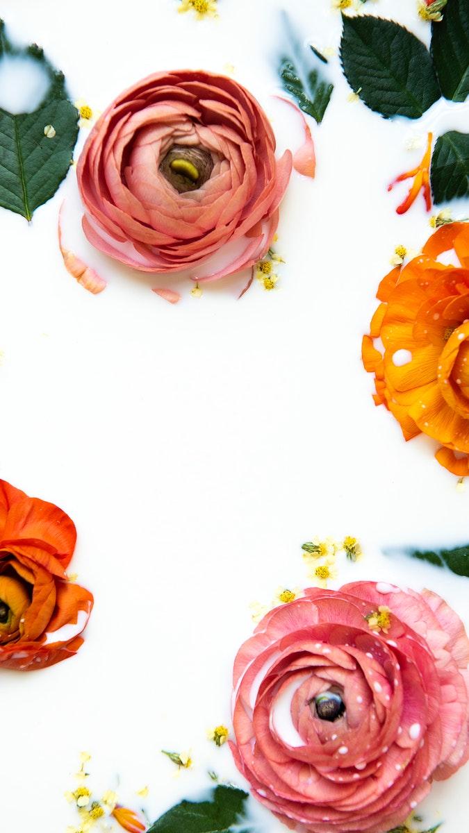 Buttercup Flower Wallpapers - Top Free Buttercup Flower Backgrounds ...