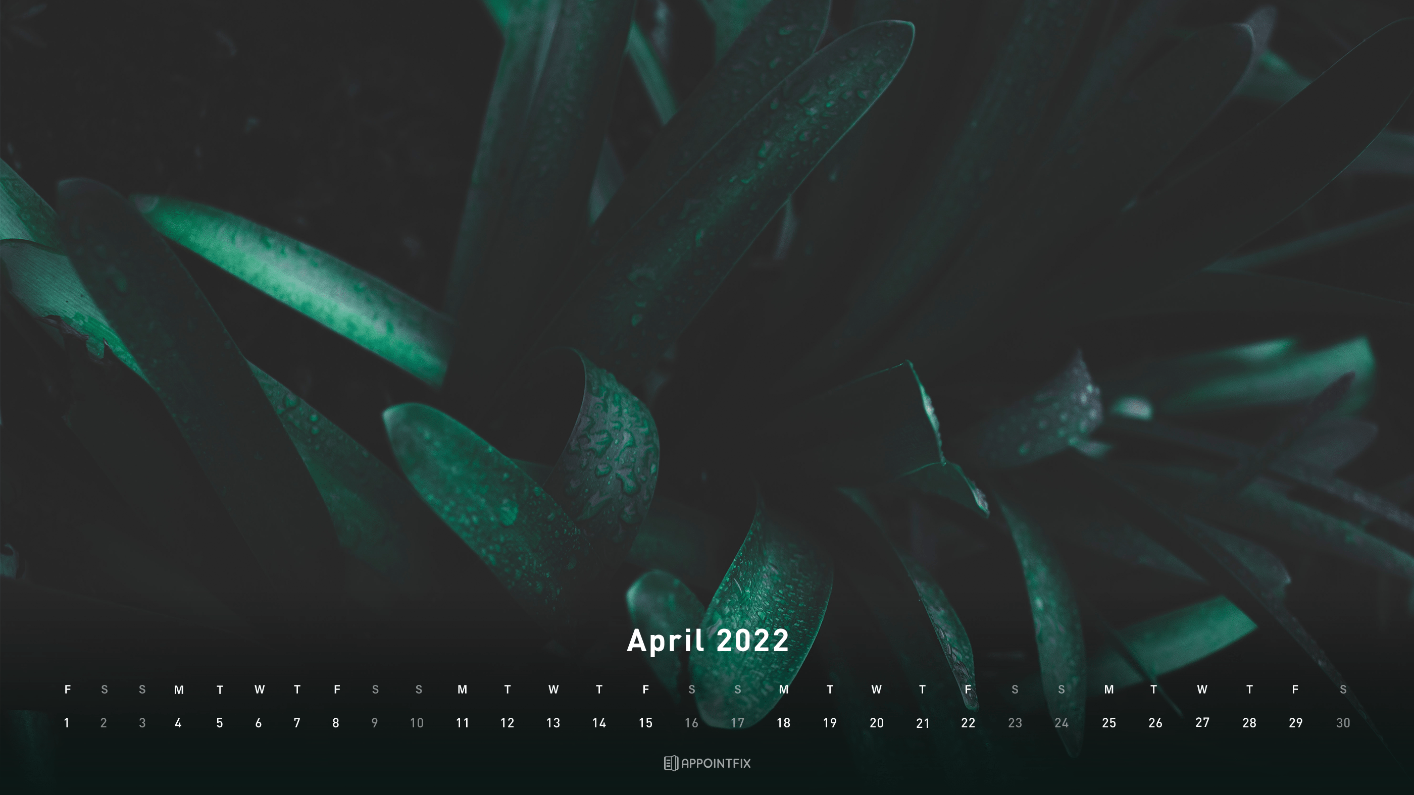 April 2022 Calendar Wallpapers - Top Free April 2022 Calendar ...