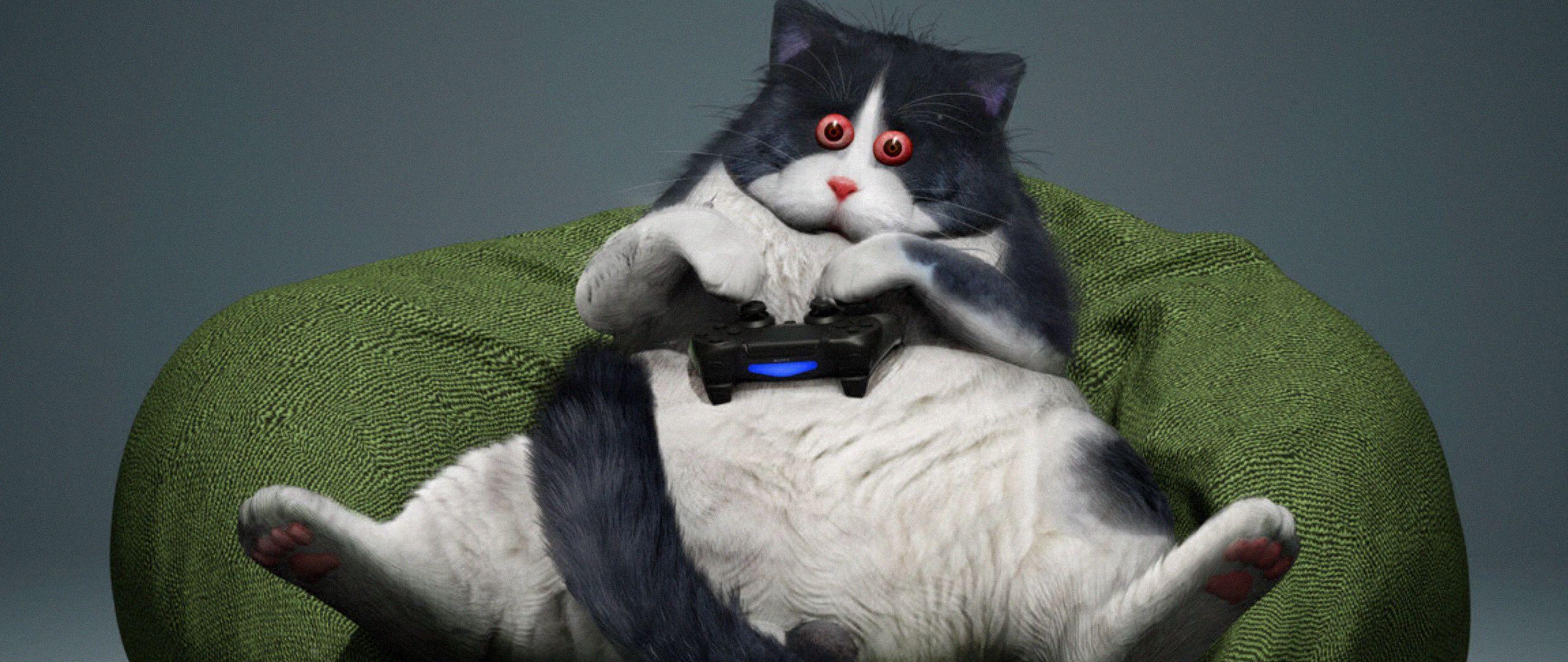 GaMERCaT Wallpapers - Top Free GaMERCaT Backgrounds - WallpaperAccess