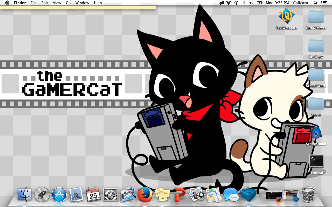 GaMERCaT Wallpapers - Top Free GaMERCaT Backgrounds - WallpaperAccess