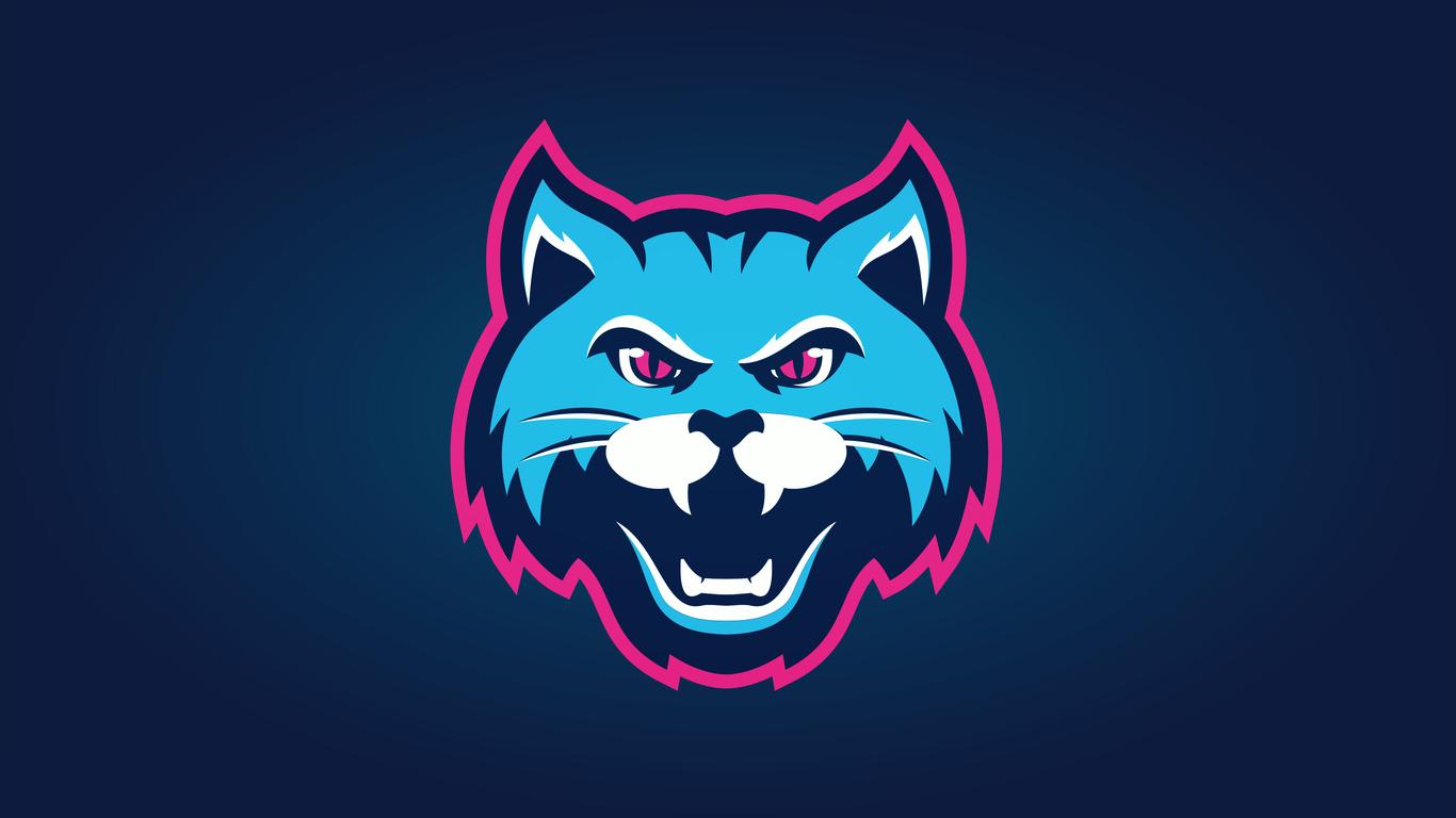 GaMERCaT Wallpapers - Top Free GaMERCaT Backgrounds - WallpaperAccess