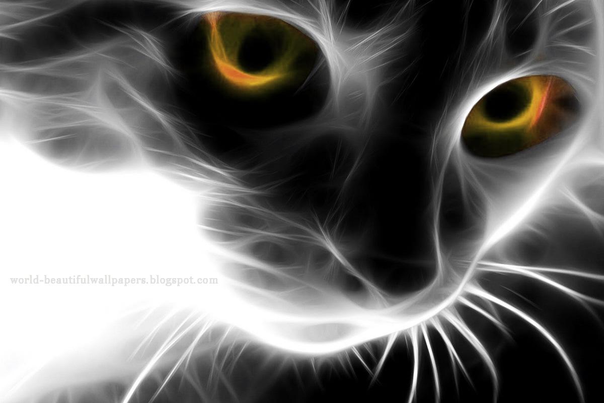 GaMERCaT Wallpapers - Top Free GaMERCaT Backgrounds - WallpaperAccess