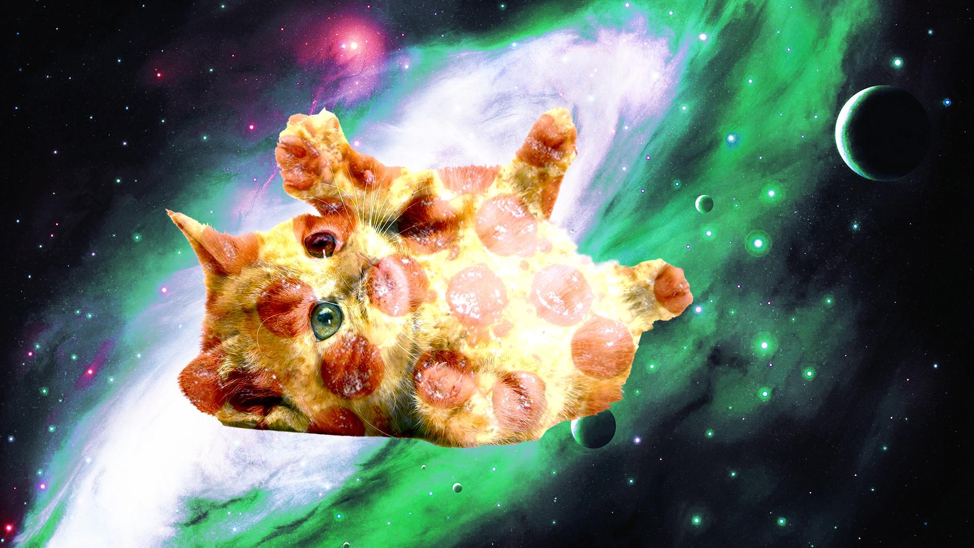 Amazing Cat Galaxy Wallpapers - Top Free Amazing Cat Galaxy Backgrounds ...