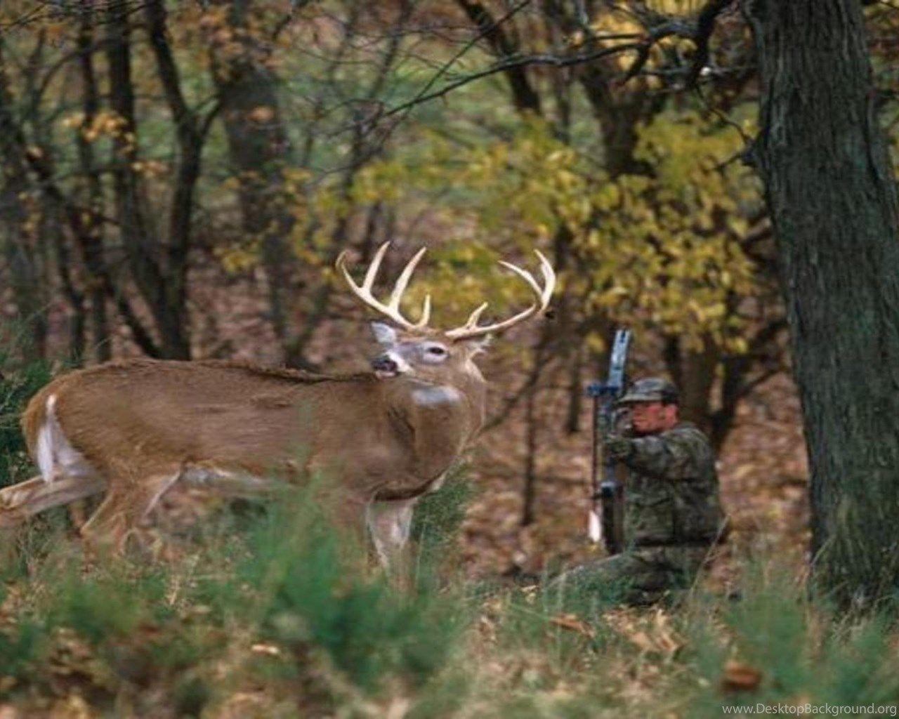 Buck Desktop Wallpapers - Top Free Buck Desktop Backgrounds ...