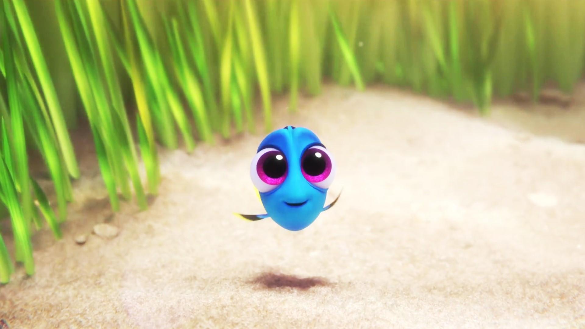 Cute Dory Wallpapers - Top Free Cute Dory Backgrounds - WallpaperAccess