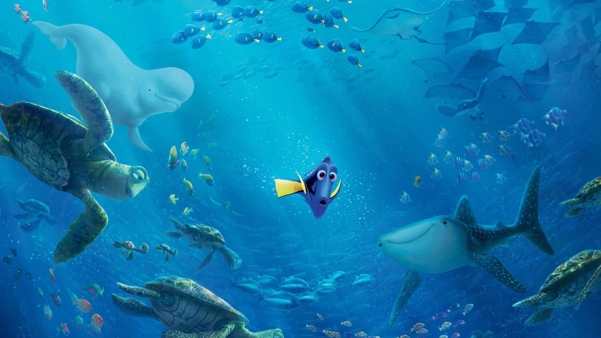 Cute Dory Wallpapers - Top Free Cute Dory Backgrounds - WallpaperAccess
