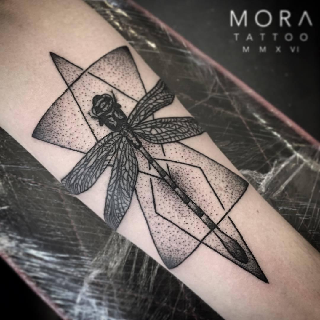 Coheed and Cambria Dragonfly Wallpapers - Top Free Coheed and Cambria ...