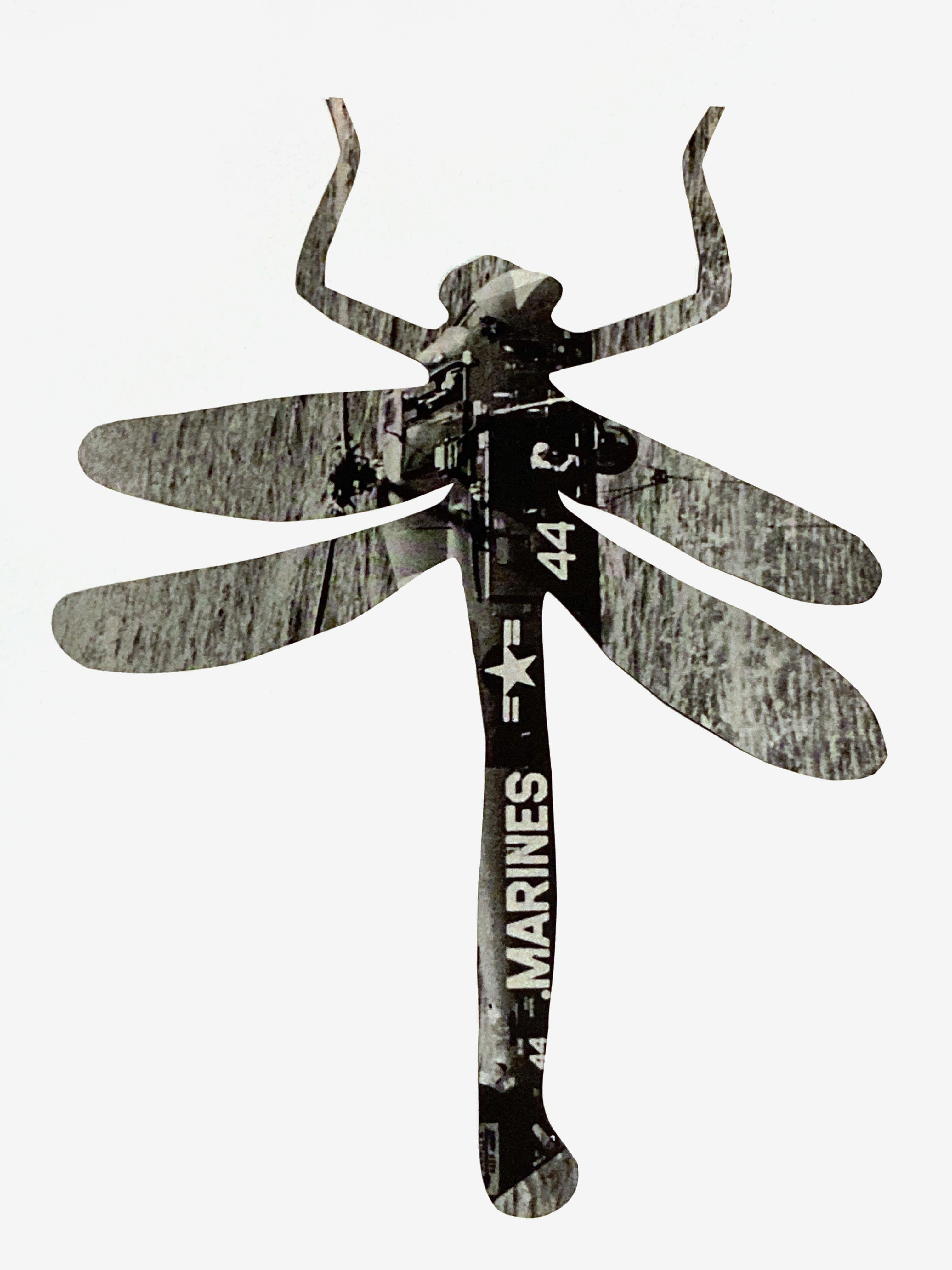 Coheed and Cambria Dragonfly Wallpapers - Top Free Coheed and Cambria ...