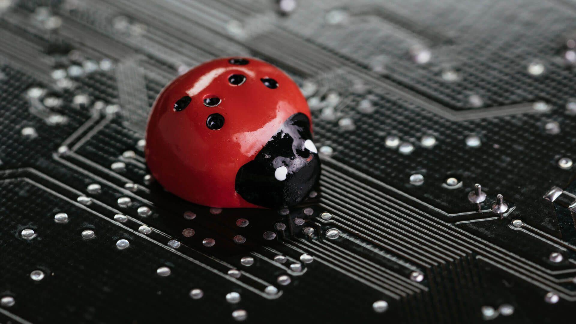 Tester Wallpapers - Top Free Tester Backgrounds - WallpaperAccess