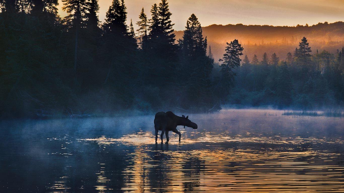 Isle Royale National Park Wallpapers - Top Free Isle Royale National ...