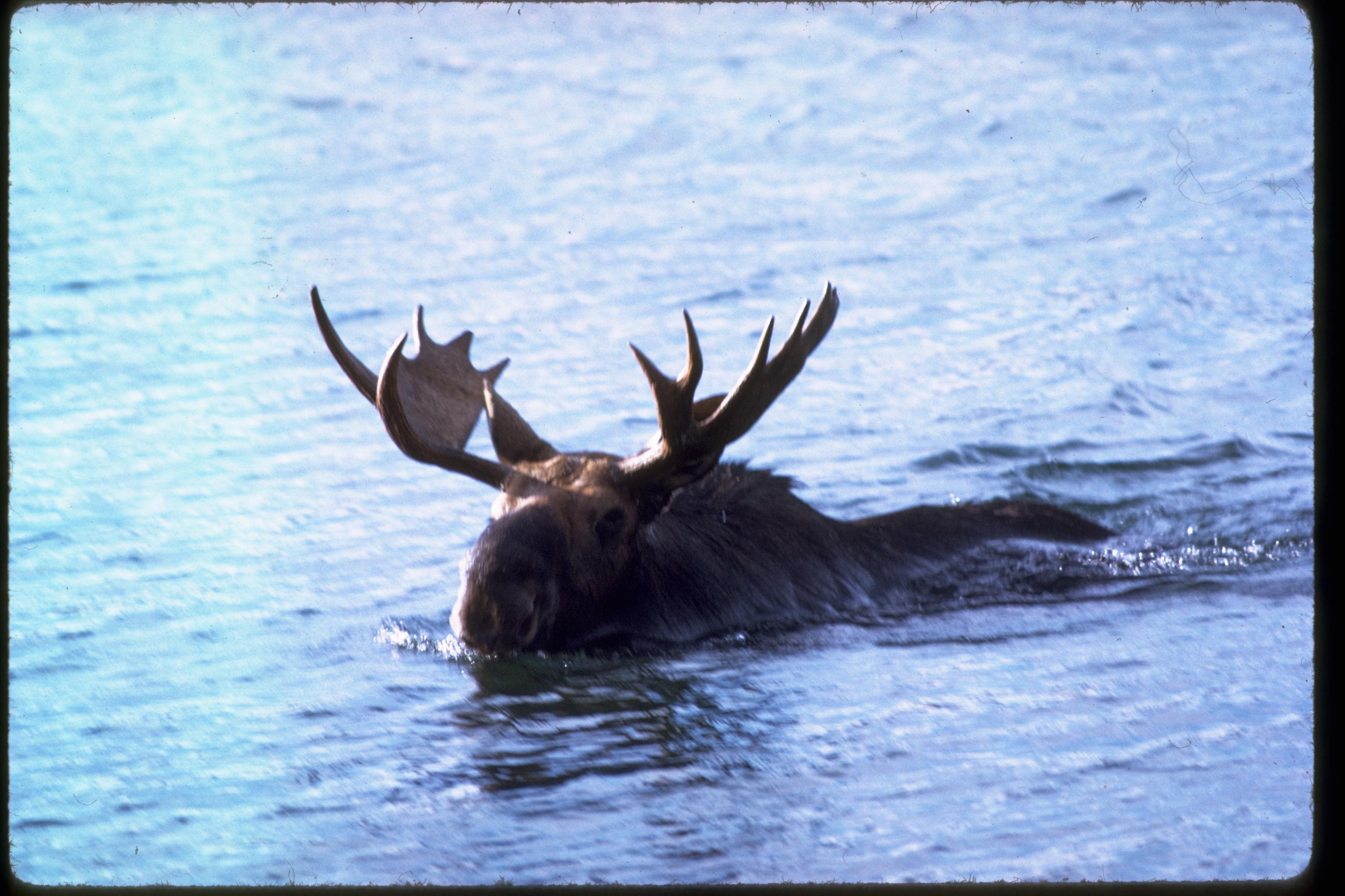 Isle Royale National Park Wallpapers - Top Free Isle Royale National ...