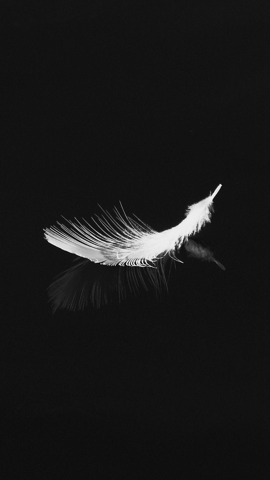 White Feather Wallpapers - Top Free White Feather Backgrounds - WallpaperAccess