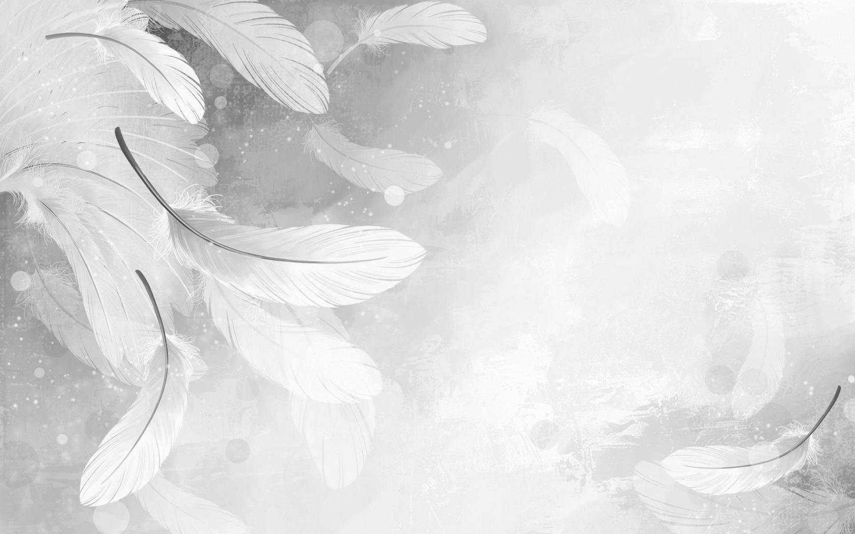 White Feather Wallpapers - Top Free White Feather Backgrounds ...
