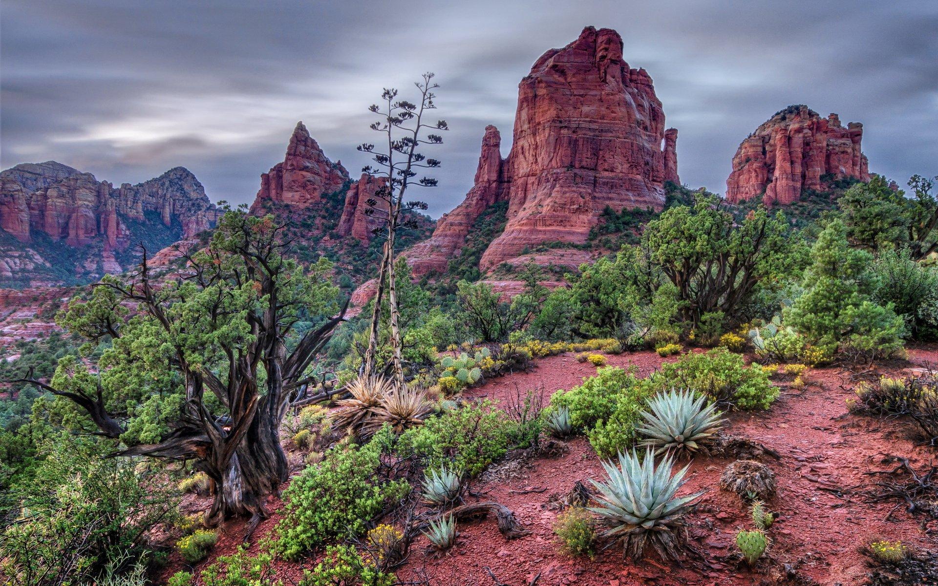 Sedona Arizona Wallpapers - Top Free Sedona Arizona Backgrounds - WallpaperAccess
