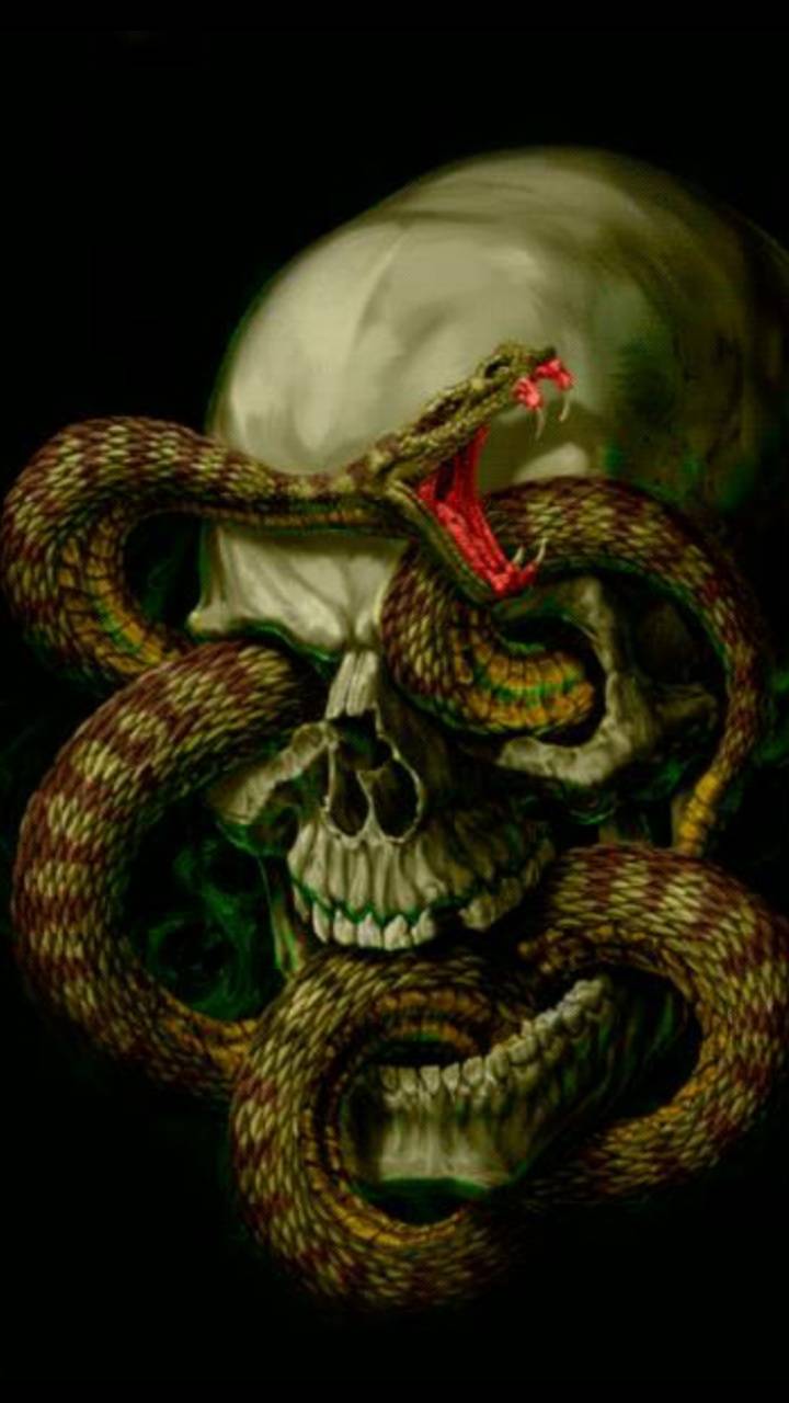 Snake Art Wallpapers - Top Free Snake Art Backgrounds - WallpaperAccess