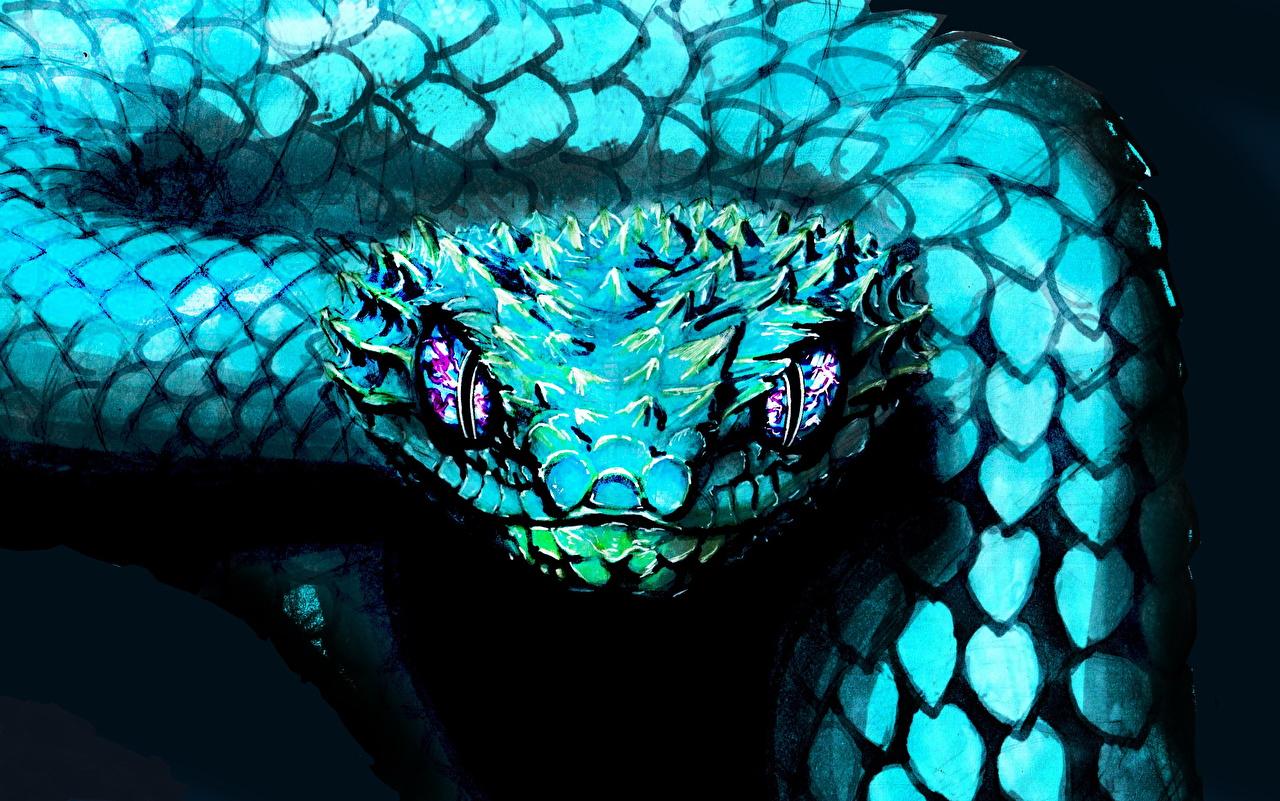 Snake Art Wallpapers - Top Free Snake Art Backgrounds - WallpaperAccess