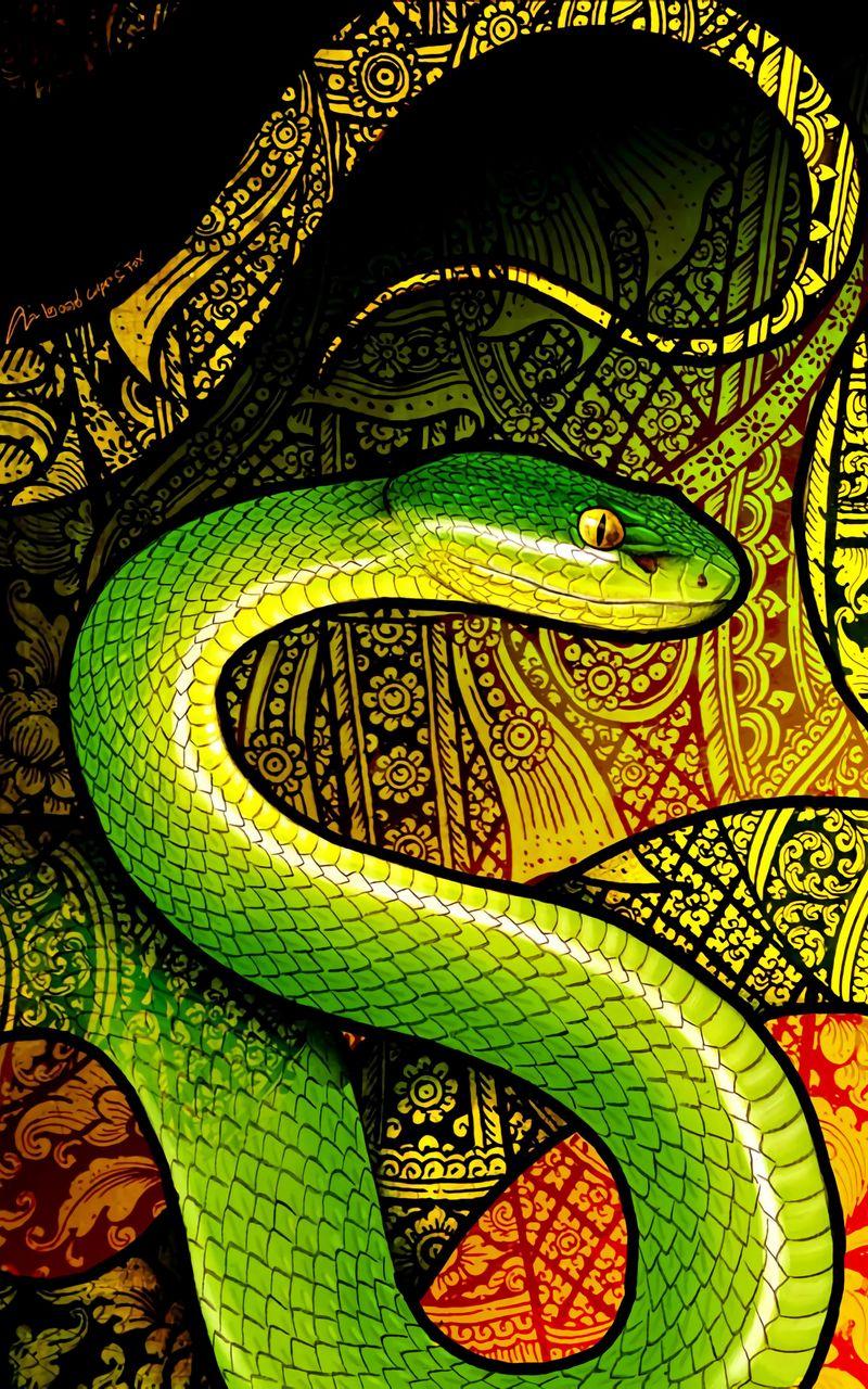 Snake Art Wallpapers - Top Free Snake Art Backgrounds - WallpaperAccess