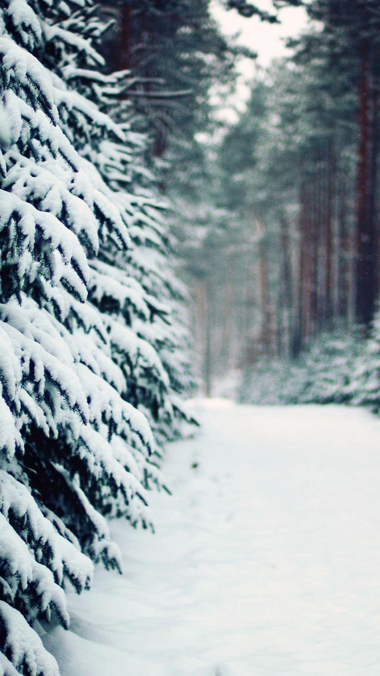 Simple Snow Wallpapers - Top Free Simple Snow Backgrounds - WallpaperAccess