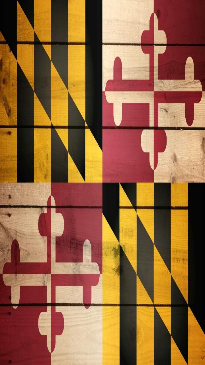 Maryland Terrapins Wallpapers - Top Free Maryland Terrapins Backgrounds ...
