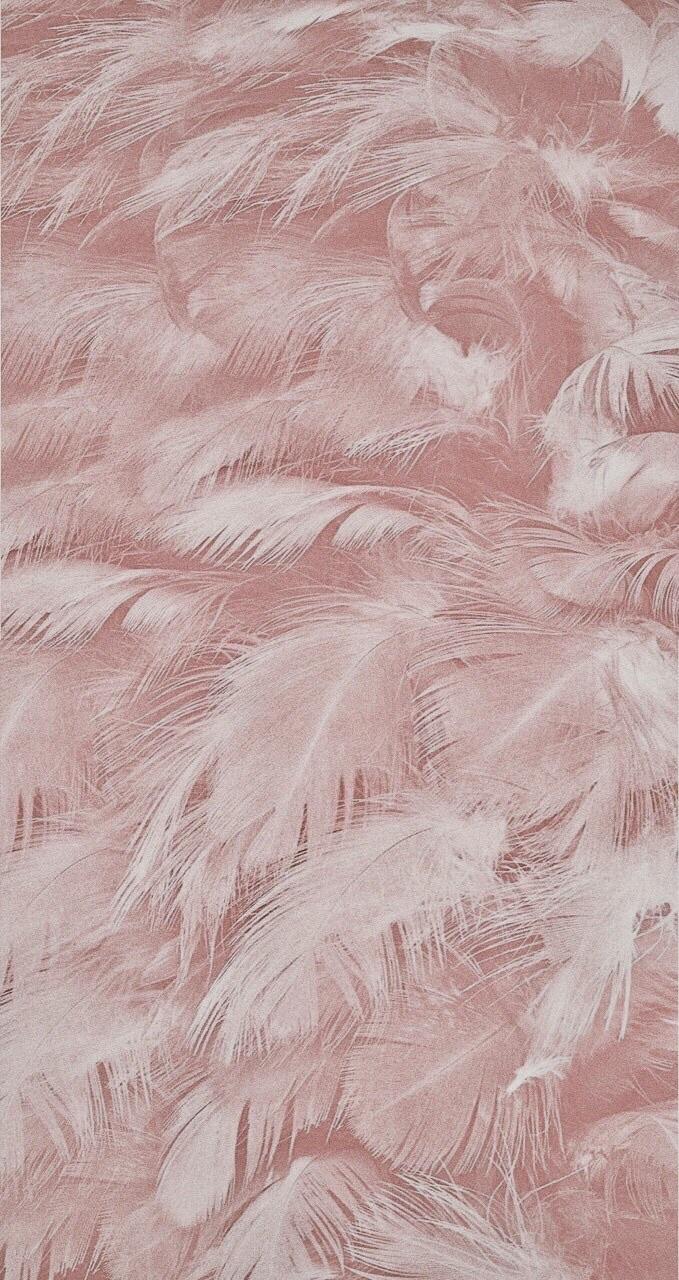 Pink Feather Wallpapers - Top Free Pink Feather Backgrounds ...