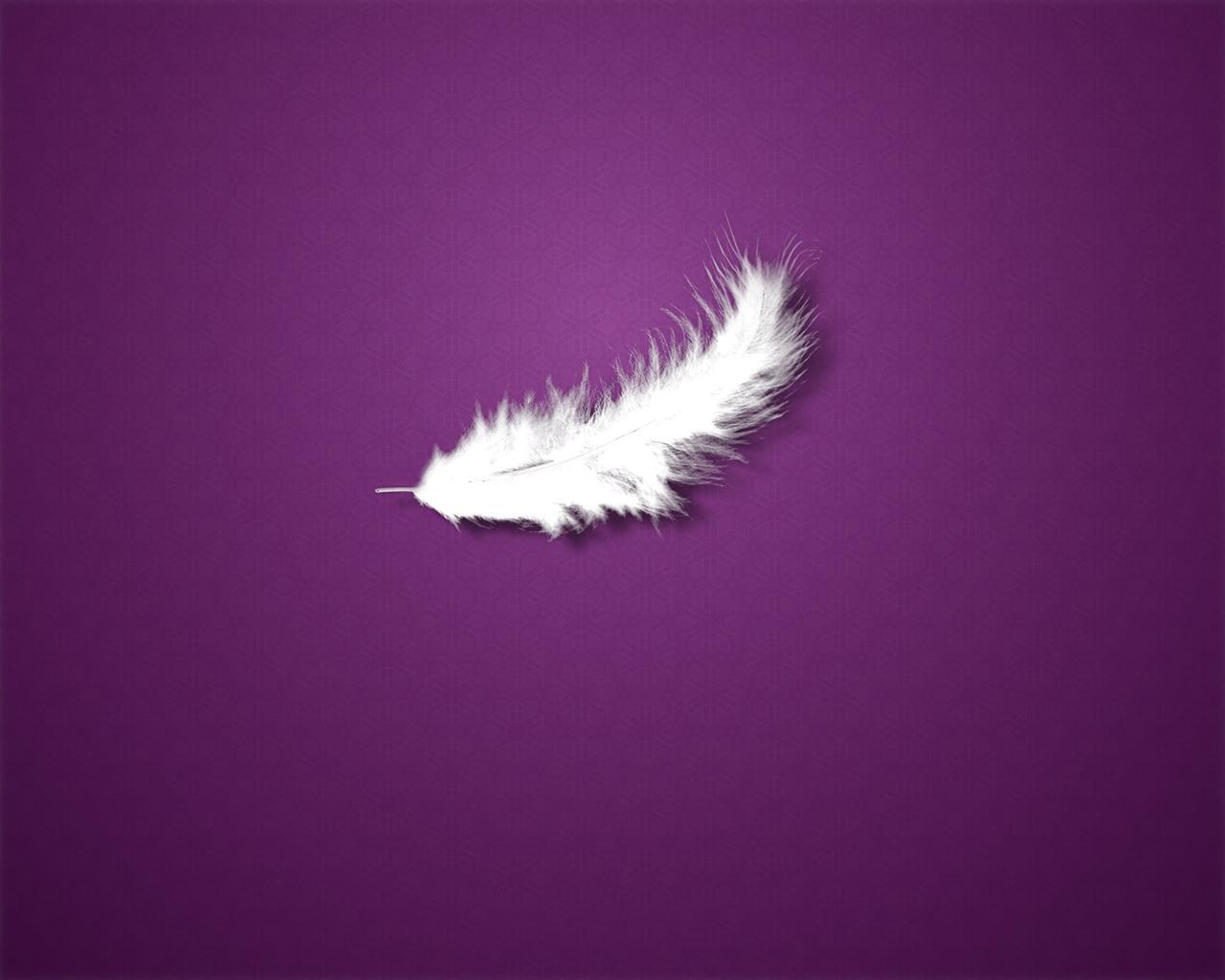 Pink Feather Wallpapers - Top Free Pink Feather Backgrounds ...