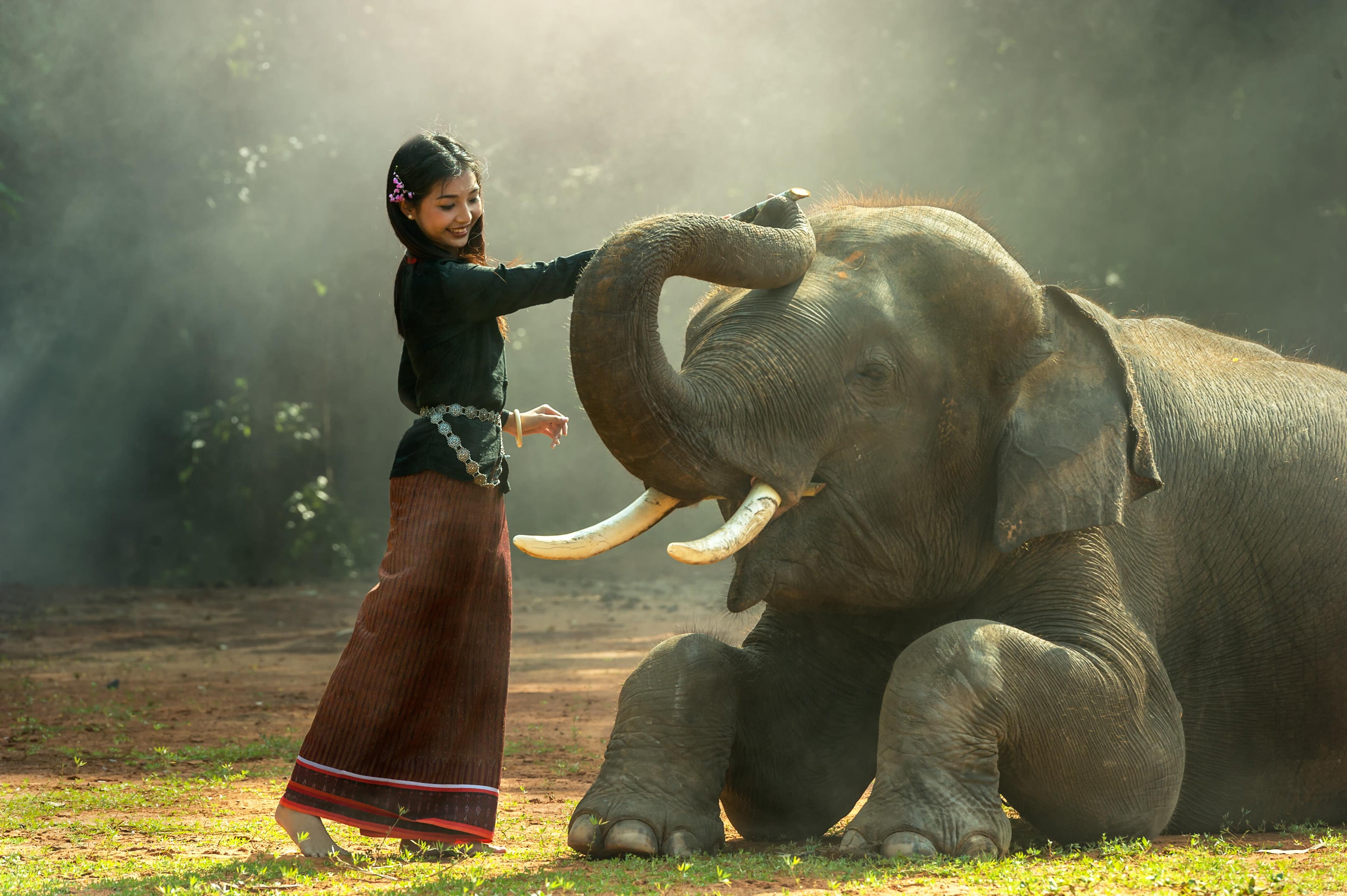 Cute Girly Elephant Wallpapers - Top Free Cute Girly Elephant ...