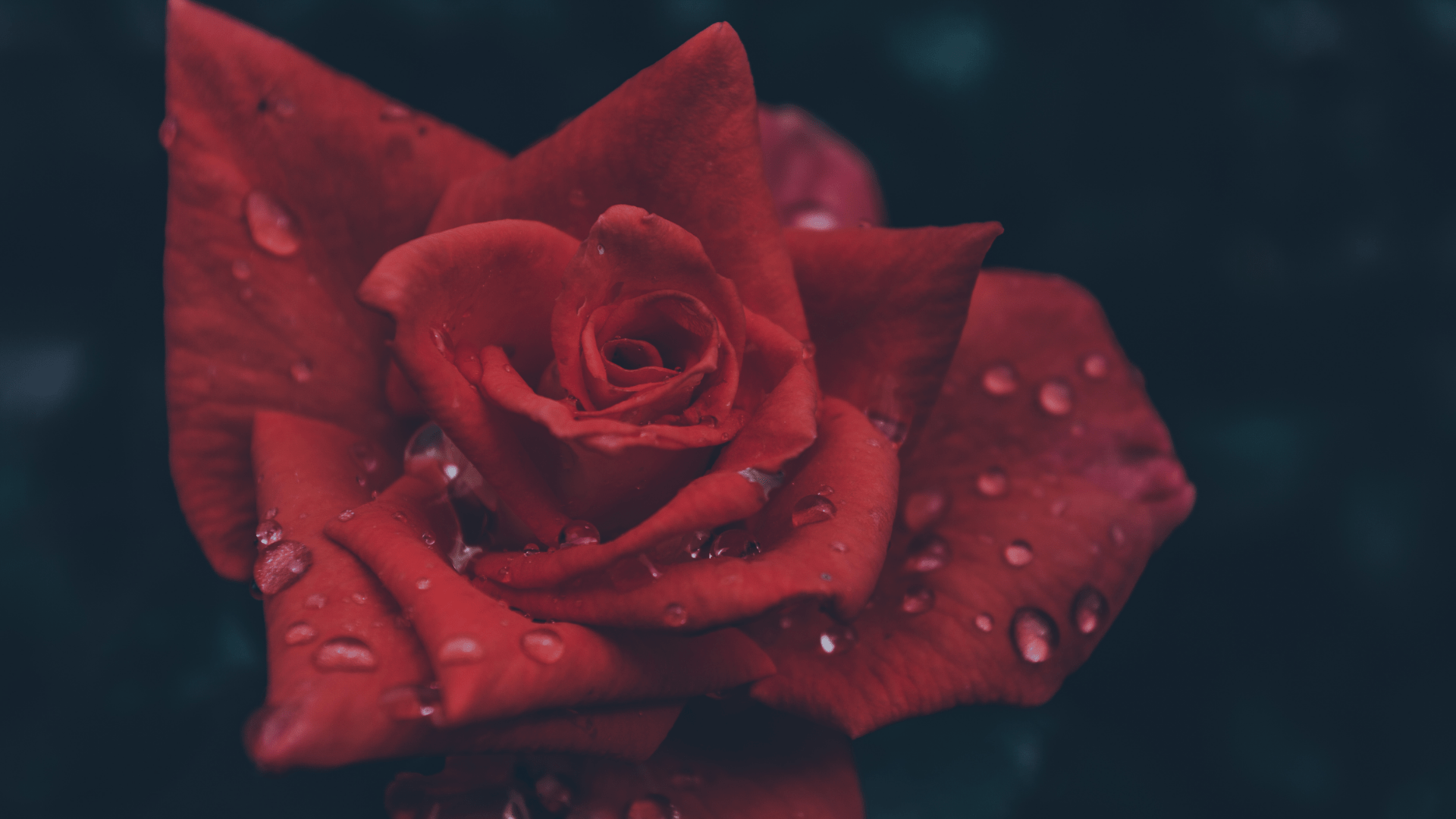 Red Storm Wallpapers - Top Free Red Storm Backgrounds - WallpaperAccess