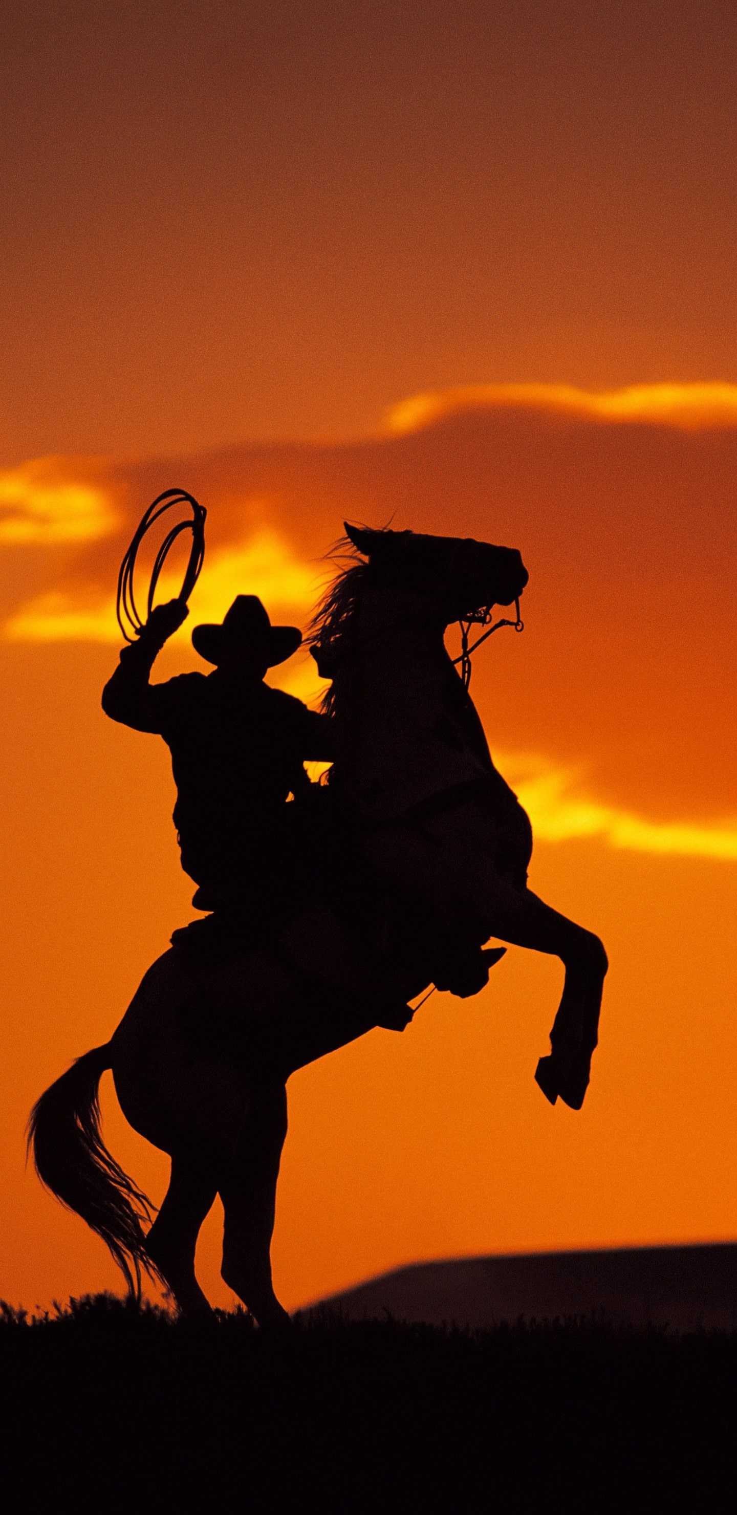 4K Western Wallpapers - Top Free 4K Western Backgrounds - WallpaperAccess