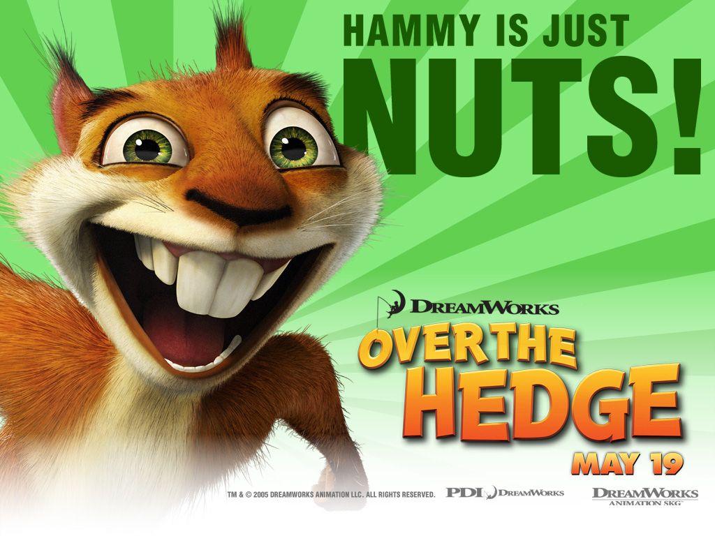 Over the Hedge Wallpapers - Top Free Over the Hedge Backgrounds - WallpaperAccess