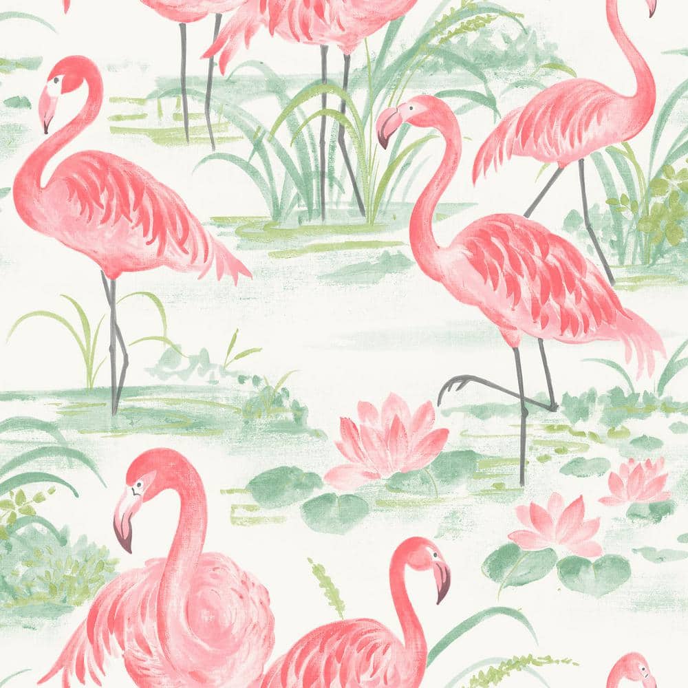 Flamingo Art Wallpapers - Top Free Flamingo Art Backgrounds ...