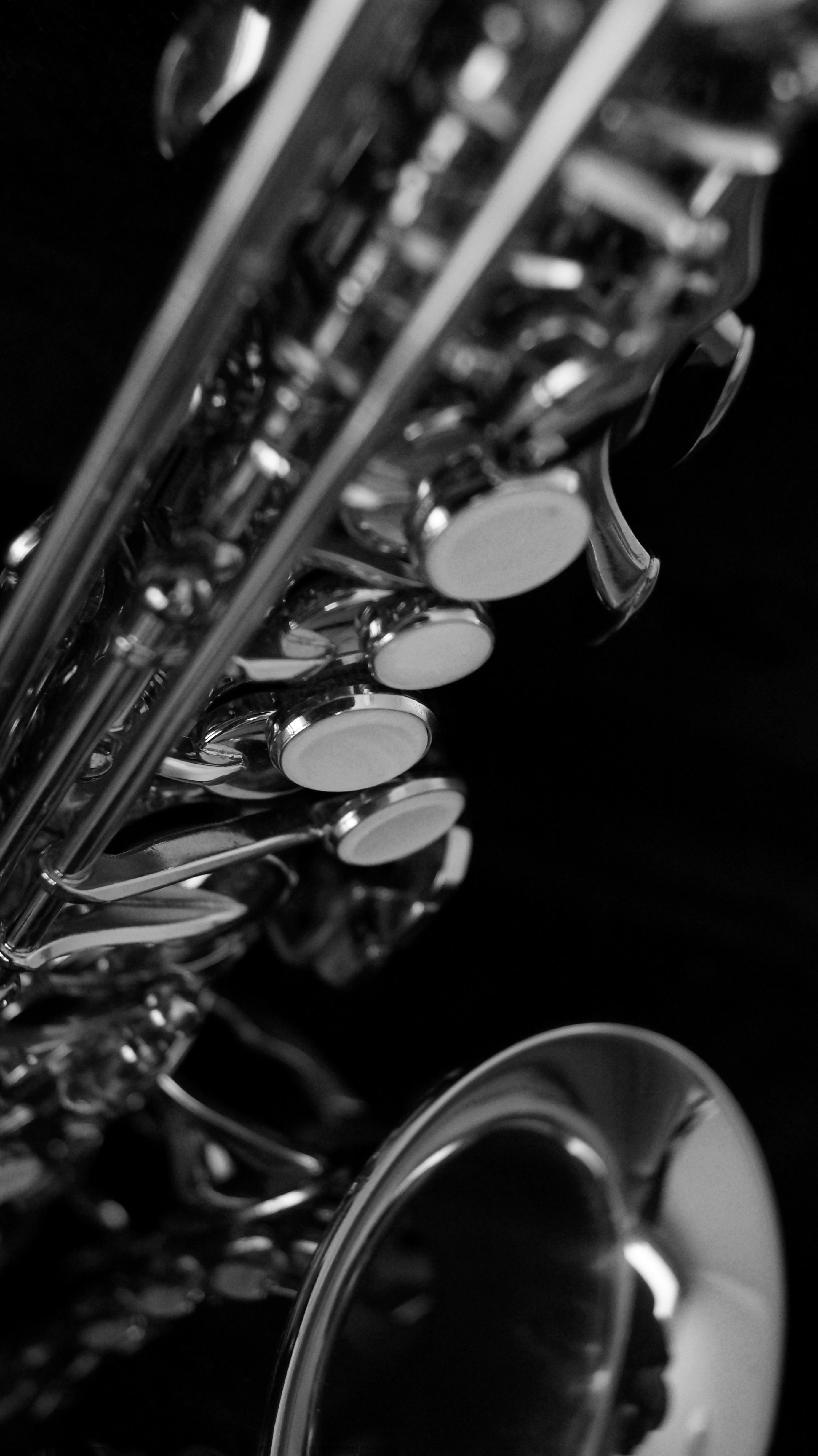 Alto Saxophone Wallpapers - Top Free Alto Saxophone Backgrounds ...