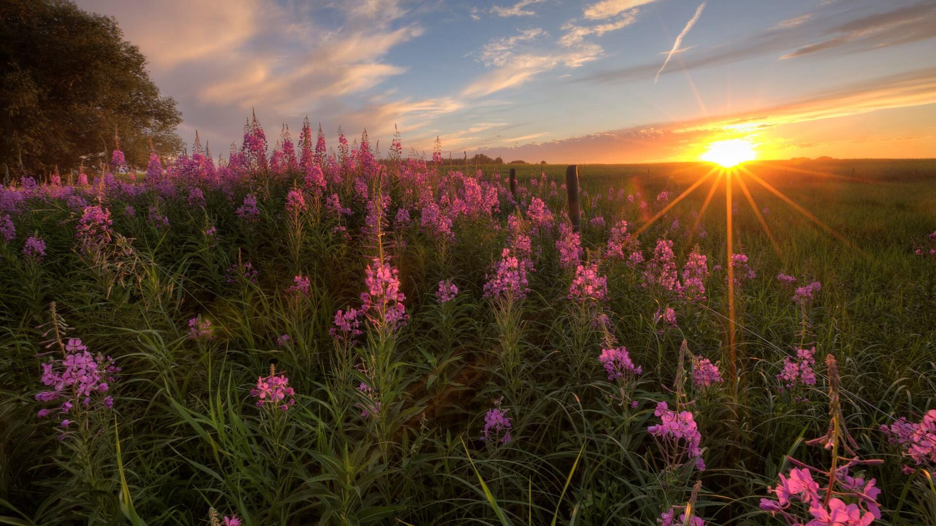 Prairie Sunset Wallpapers - Top Free Prairie Sunset Backgrounds ...