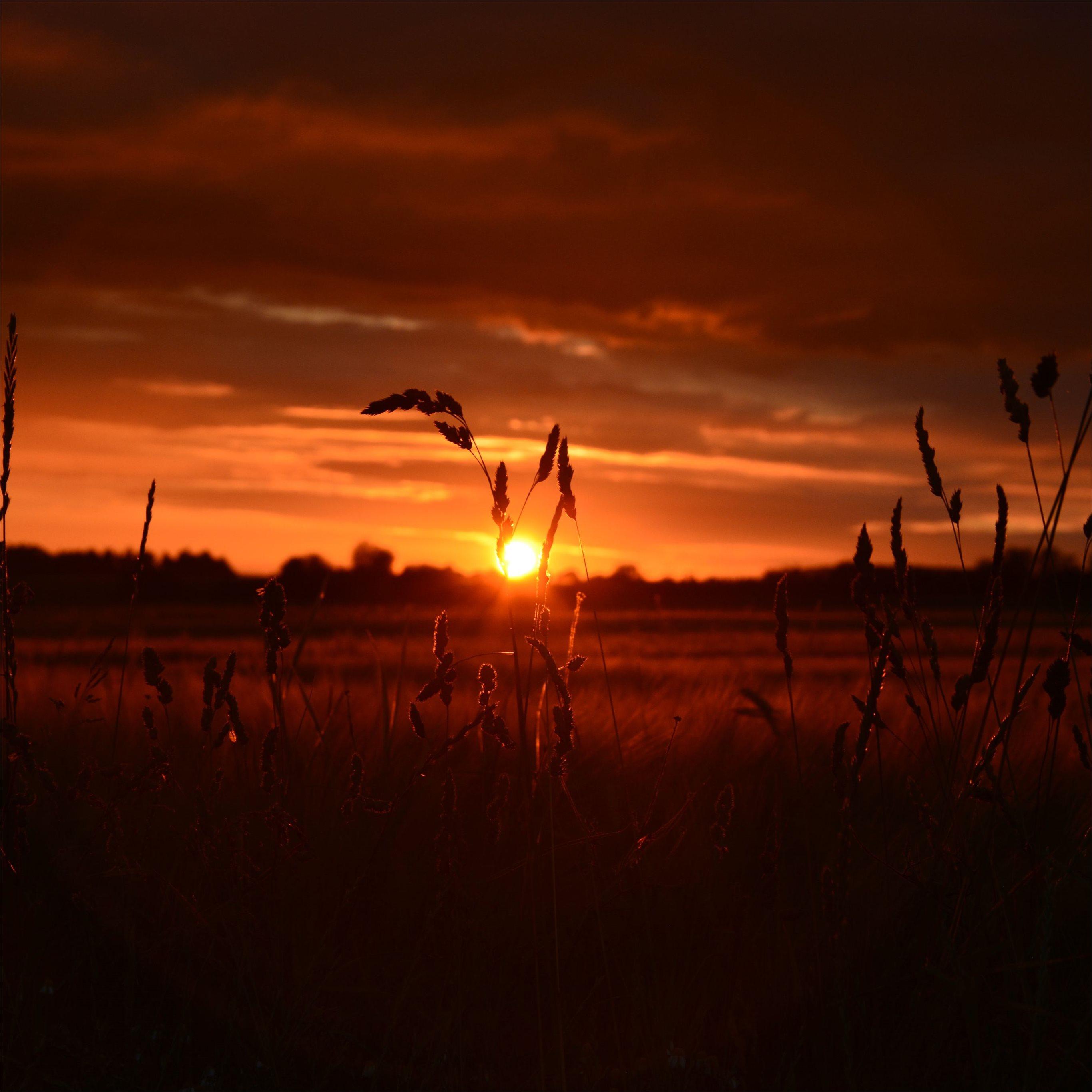 Prairie Sunset Wallpapers - Top Free Prairie Sunset Backgrounds ...