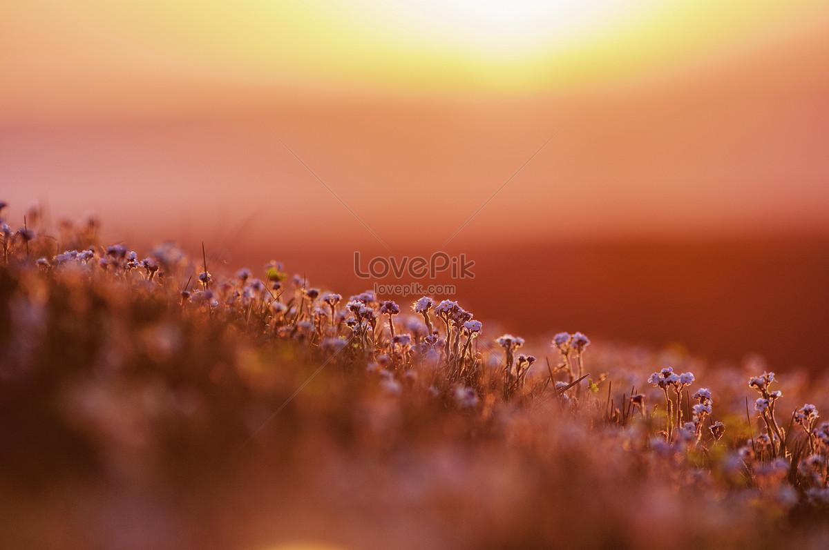 Prairie Sunset Wallpapers - Top Free Prairie Sunset Backgrounds ...