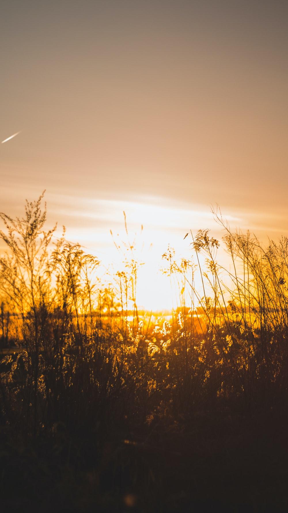 Prairie Sunset Wallpapers - Top Free Prairie Sunset Backgrounds ...