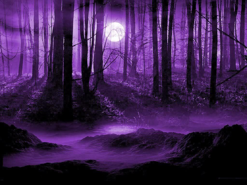 Dark Purple Forest Wallpapers - Top Free Dark Purple Forest Backgrounds ...