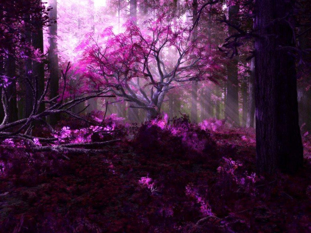 Dark Purple Forest Wallpapers - Top Free Dark Purple Forest Backgrounds ...