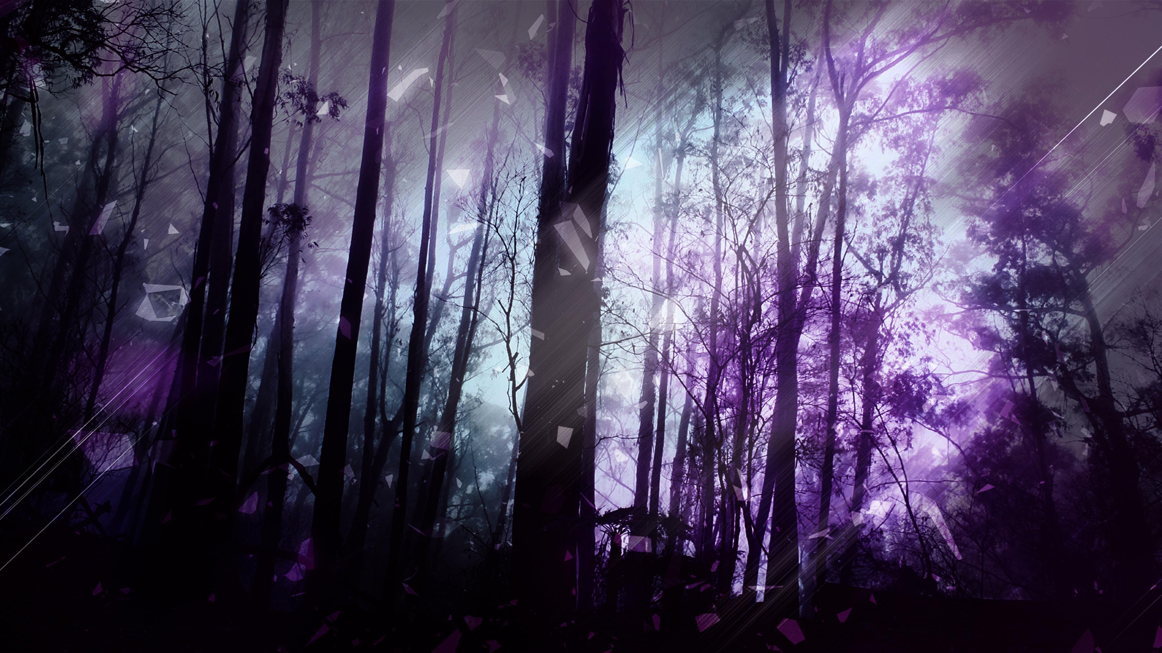 Dark Purple Forest Wallpapers - Top Free Dark Purple Forest Backgrounds ...