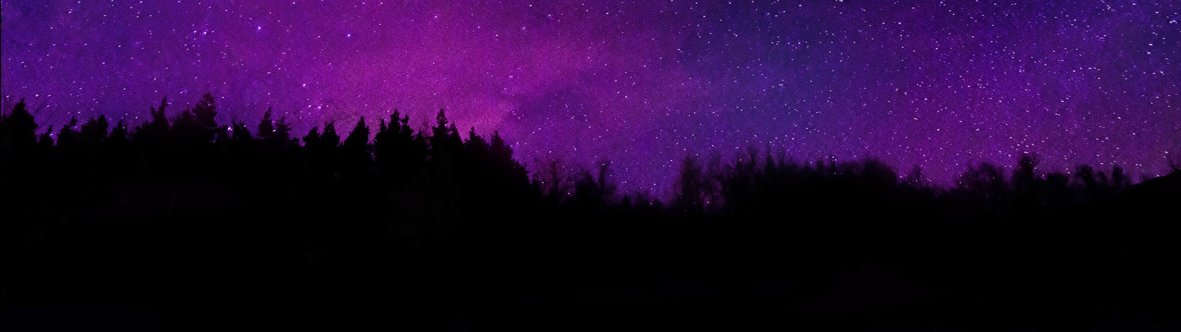 Dark Purple Forest Wallpapers - Top Free Dark Purple Forest Backgrounds ...