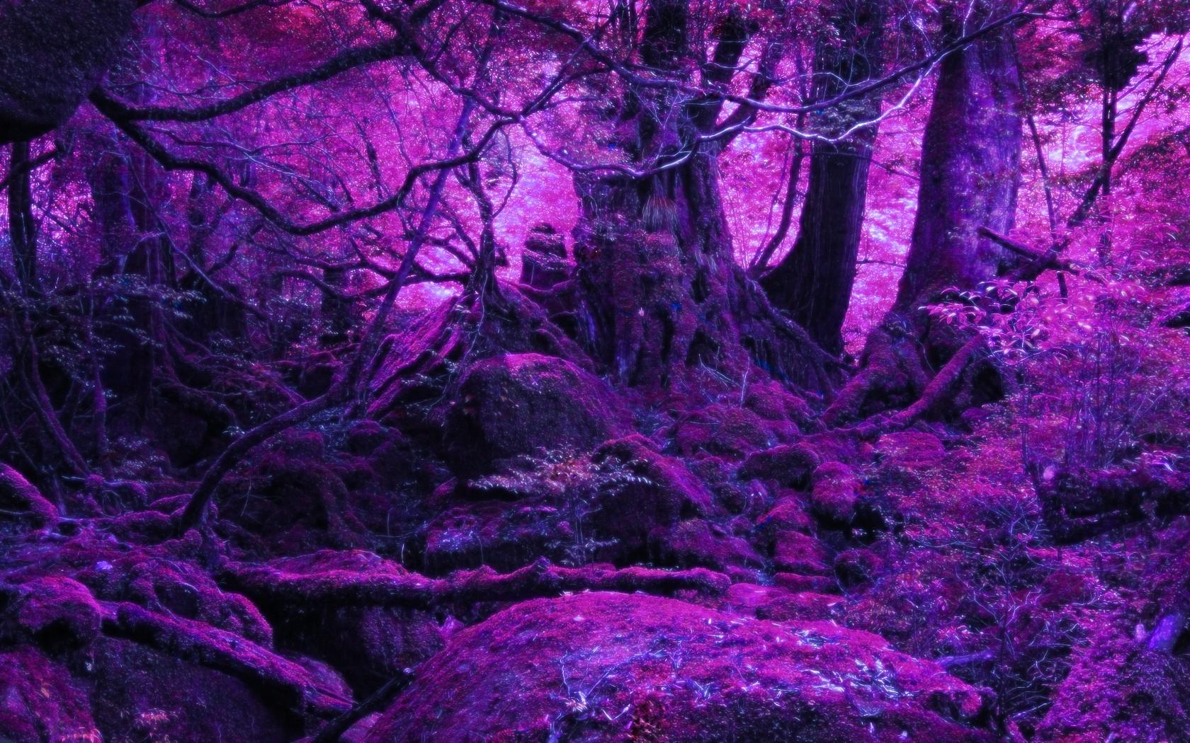 Dark Purple Forest Wallpapers - Top Free Dark Purple Forest Backgrounds ...