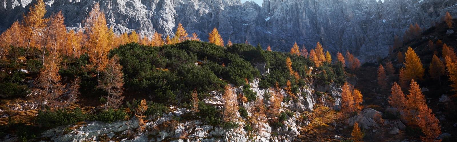 Natural 5K Wallpapers - Top Free Natural 5K Backgrounds - WallpaperAccess